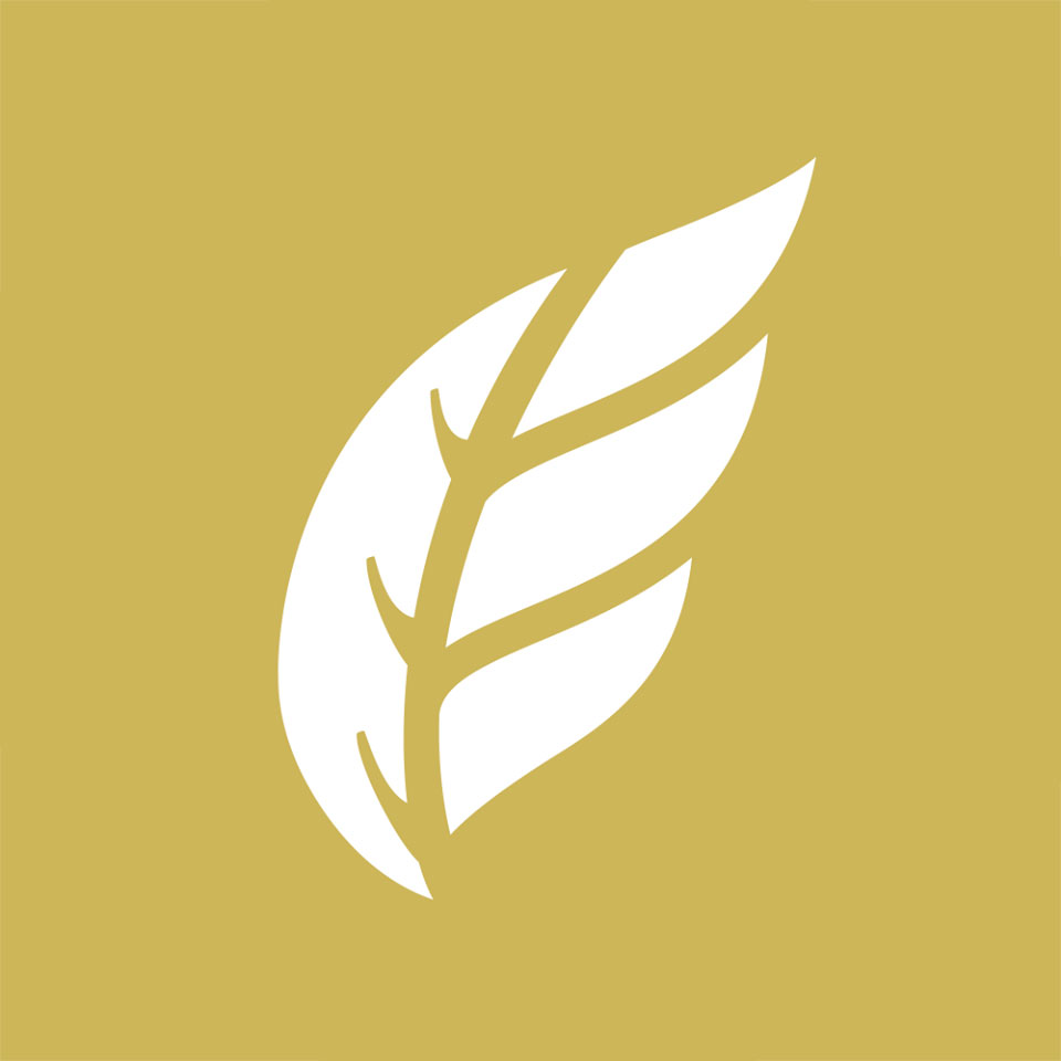 real-life-college-ministry-gold-leaf-logo - Real Life College Ministry